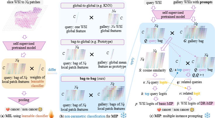 Qixiang Zhang - Qixiang (Elliot) Zhang