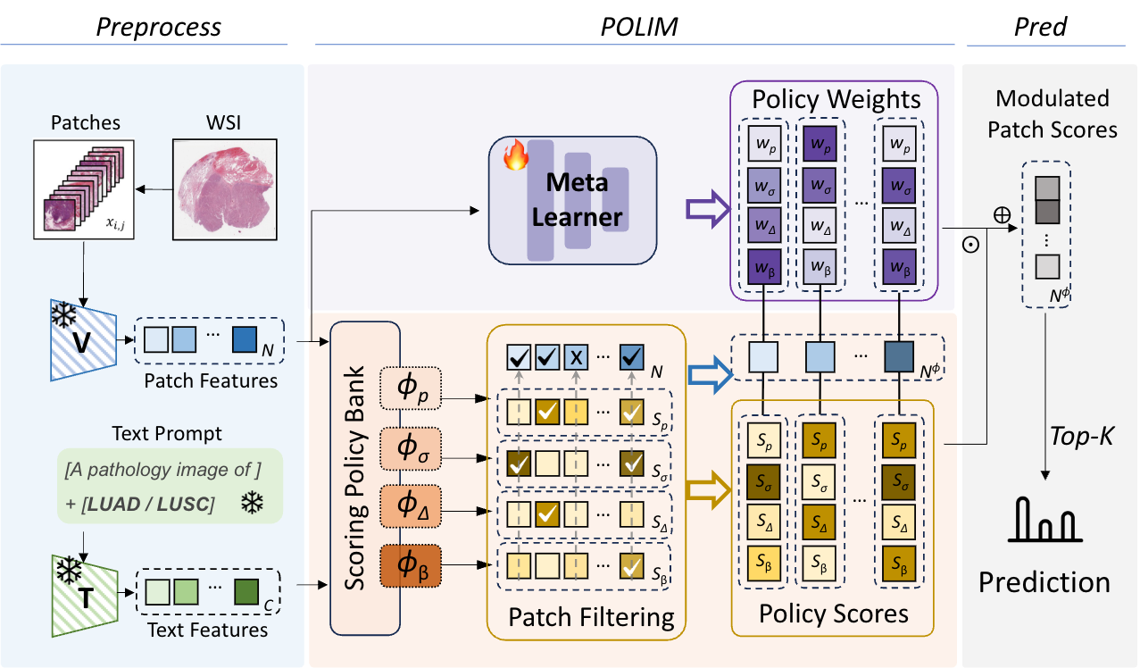 Qixiang Zhang - Qixiang (Elliot) Zhang
