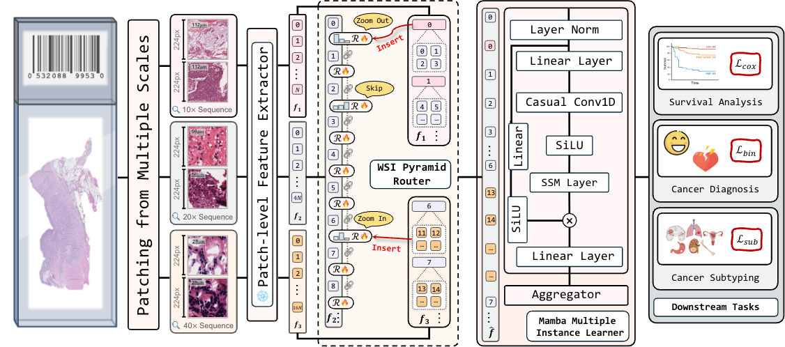 Qixiang Zhang - Qixiang (Elliot) Zhang