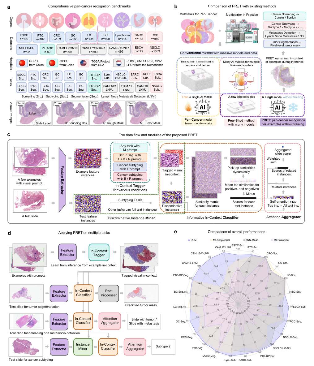Qixiang Zhang - Qixiang (Elliot) Zhang
